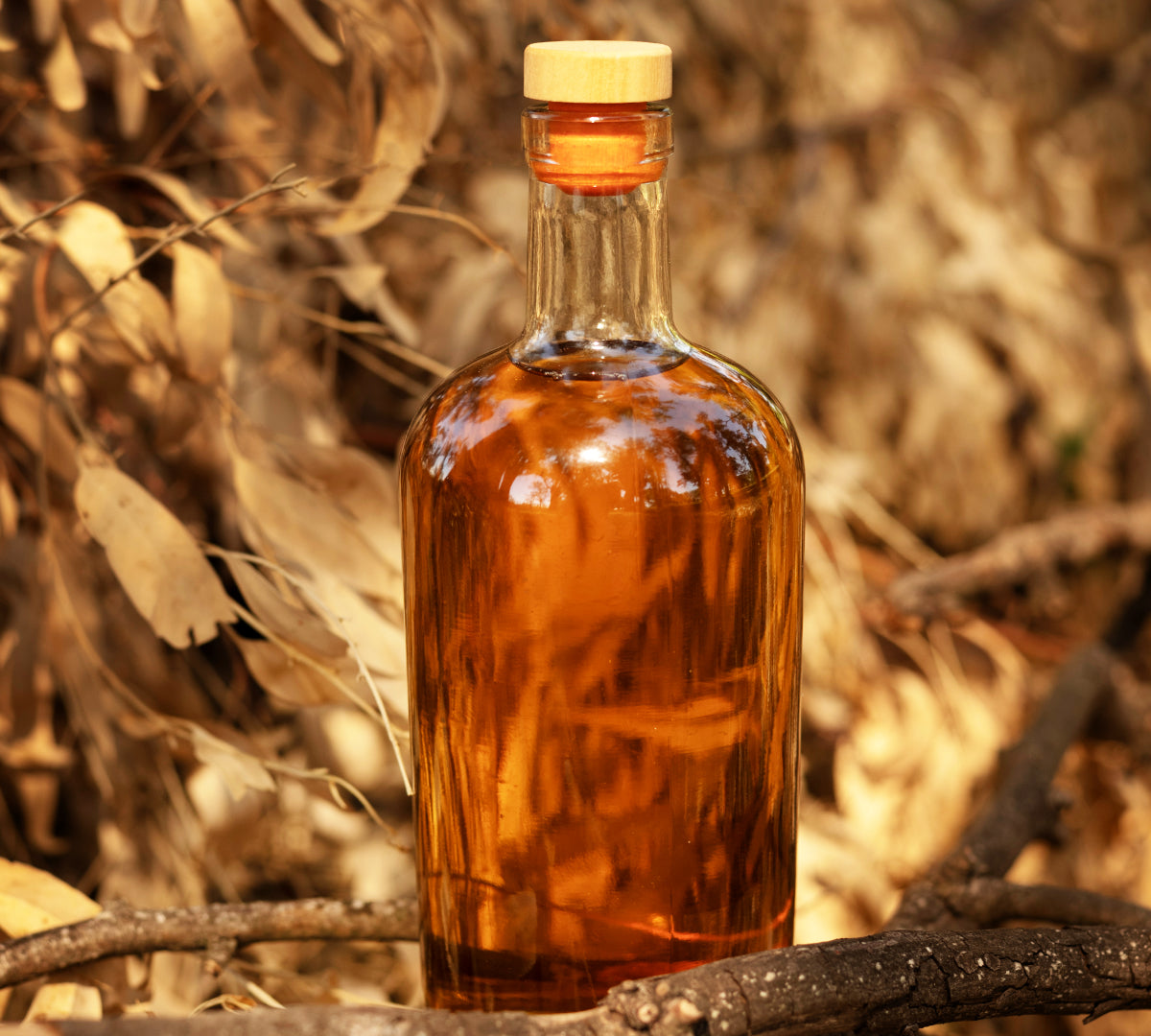 TequilaWhiteLabel: El Portal Definitivo para Explorar el Mundo del Teq ...